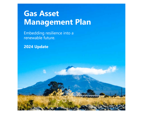 Gas Asset Management Plan 2024